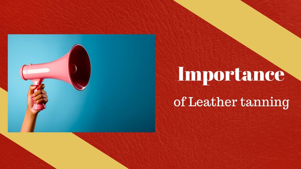 Leather Tanning: Types and Their Various Benefits & Drawbacks